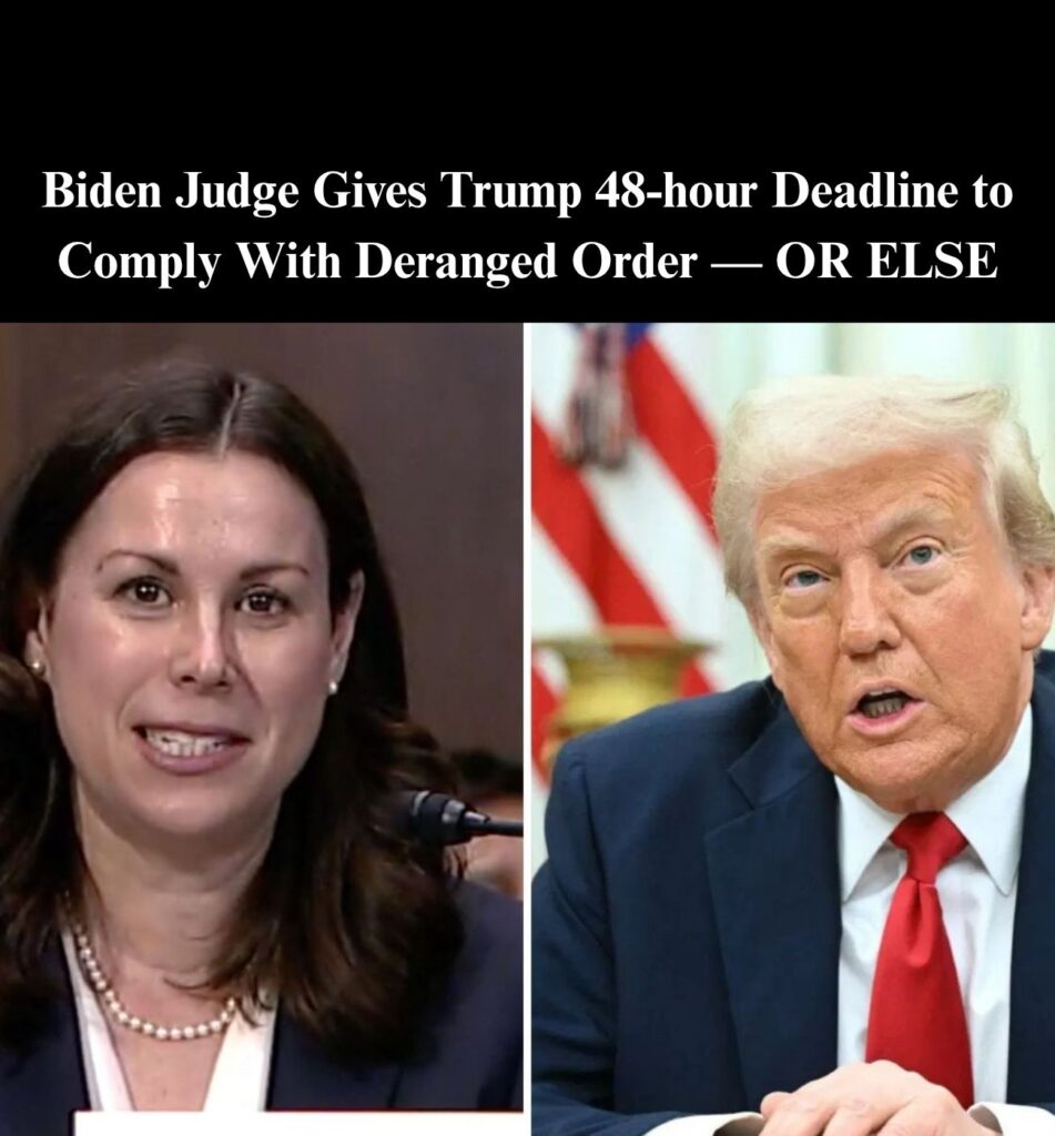 Biden Judge Gives Trump 48-Hour Ultimatum Over Chicago Troop Deployment ...